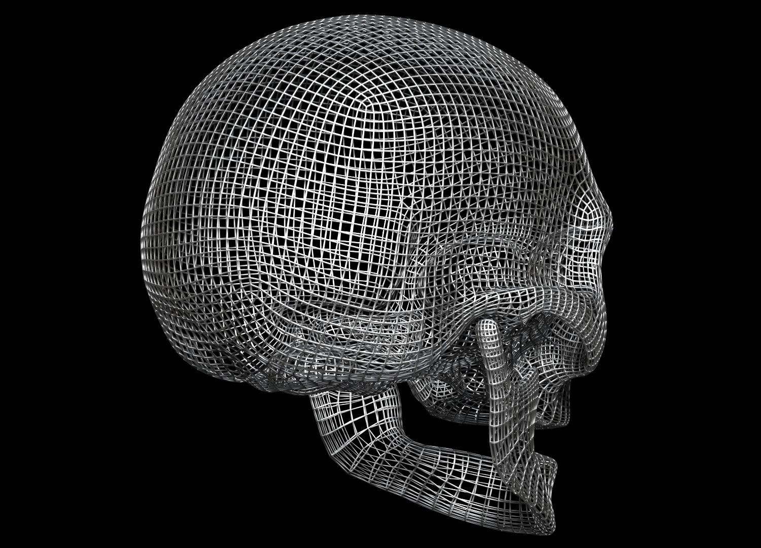 Skull Wire 3D model | CGTrader