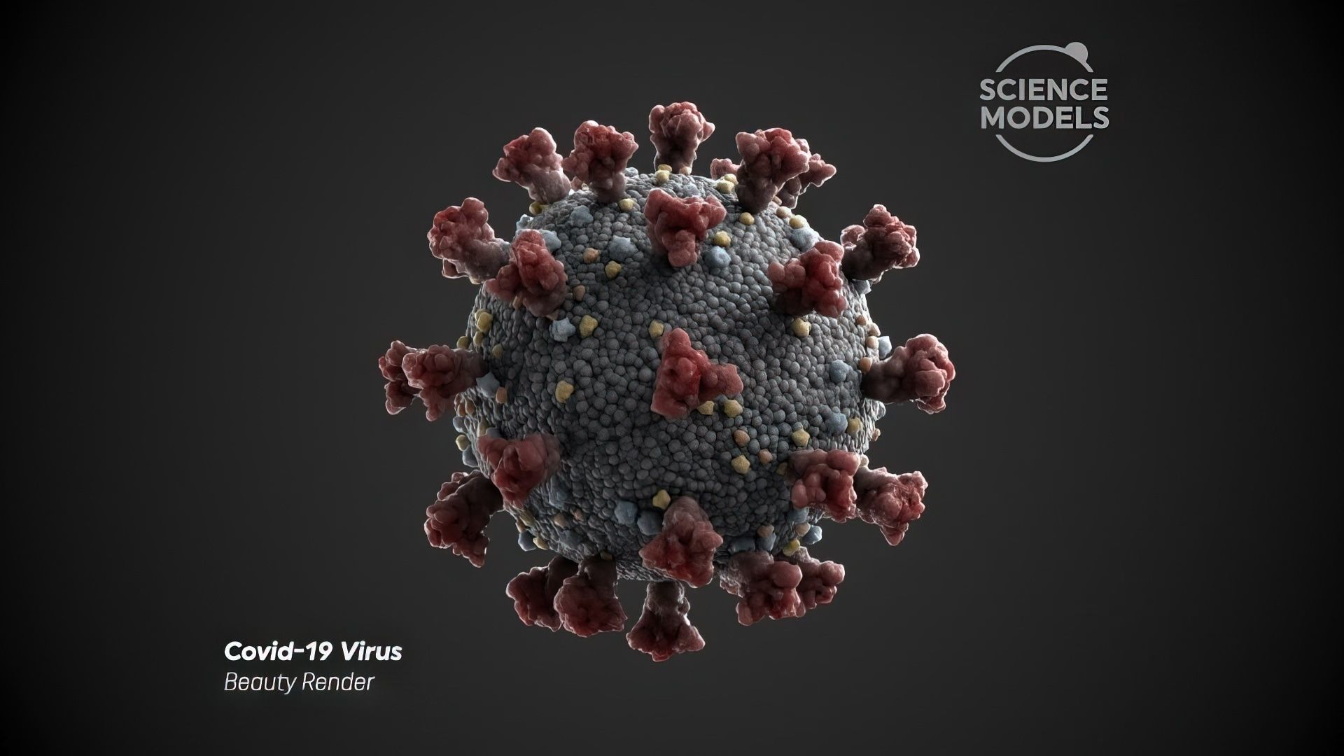 Covid-19 Virus SARS CoV-2 3D model animated | CGTrader