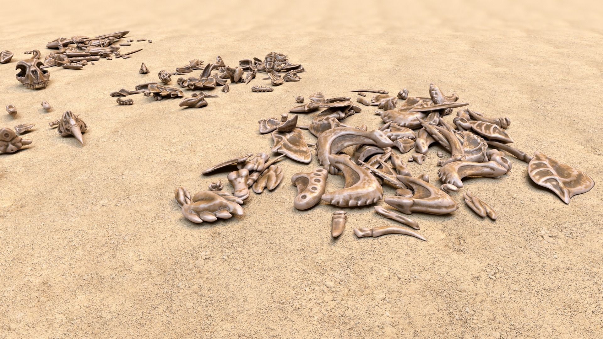 3D model Fossil Bones and Skulls - Collection VR / AR / low-poly | CGTrader