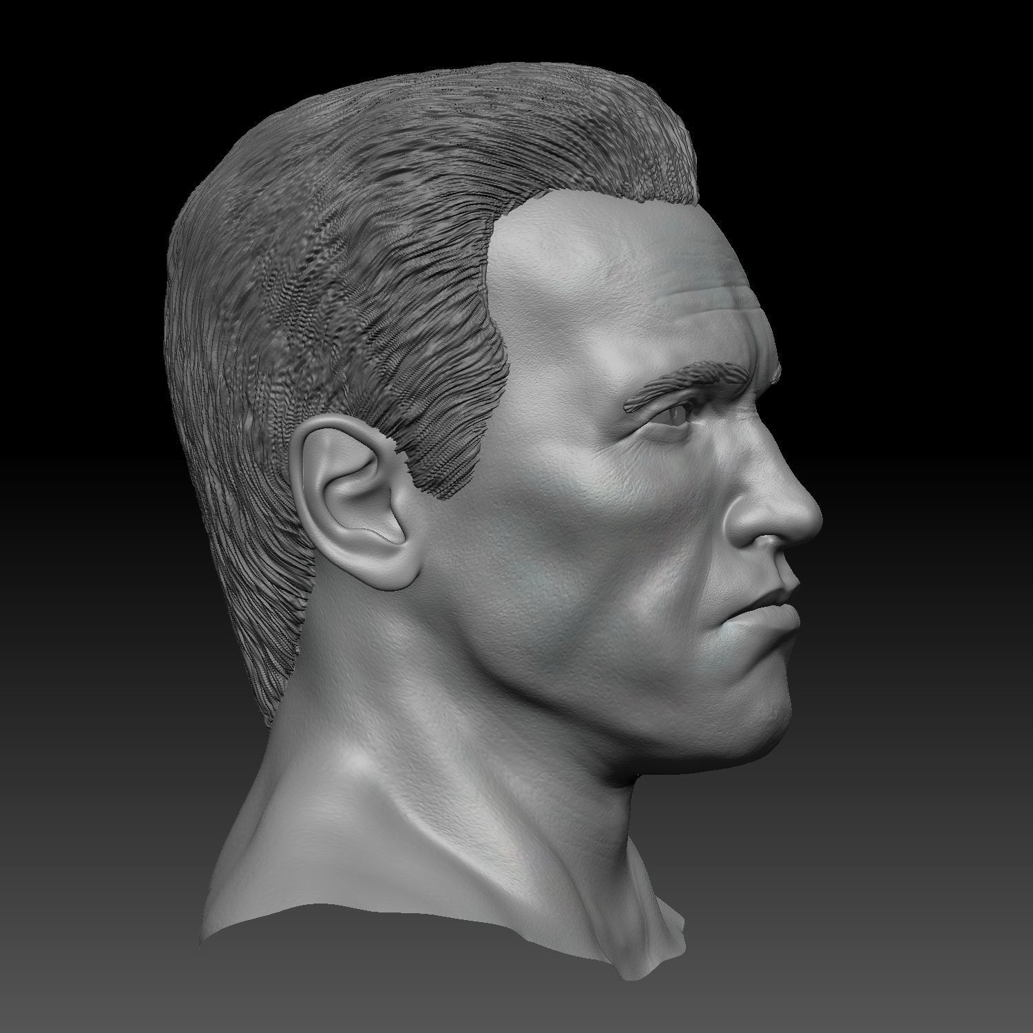 Arnold Shwarzenegger head 3D model 3D printable | CGTrader