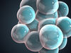 Cell Division Spherical Animated 3D Sequence 3D model animated | CGTrader