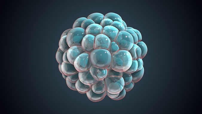 Cell Division Spherical Animated 3D Sequence 3D model animated | CGTrader