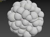 Cell Division Spherical Animated 3D Sequence 3D model animated | CGTrader