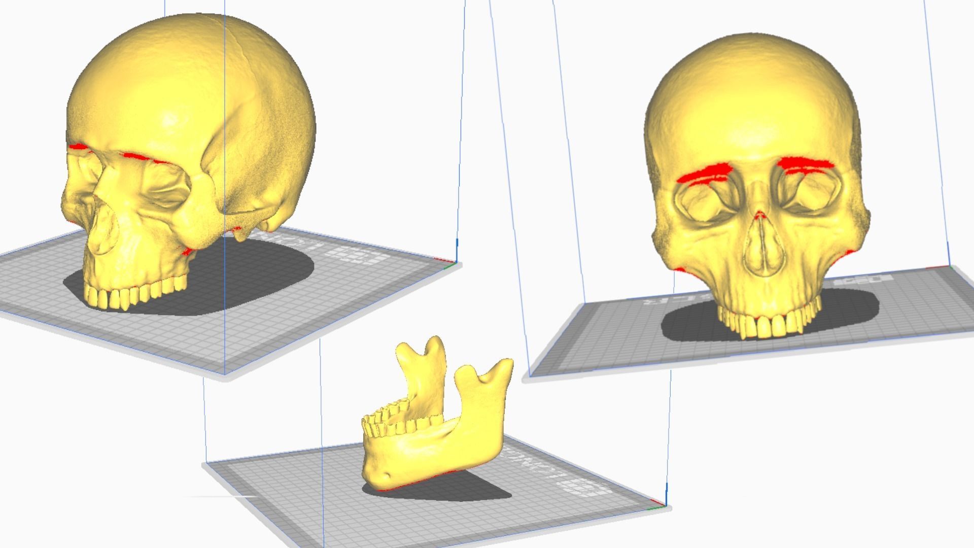 Human Skull for 3D Printing 3D model 3D printable | CGTrader