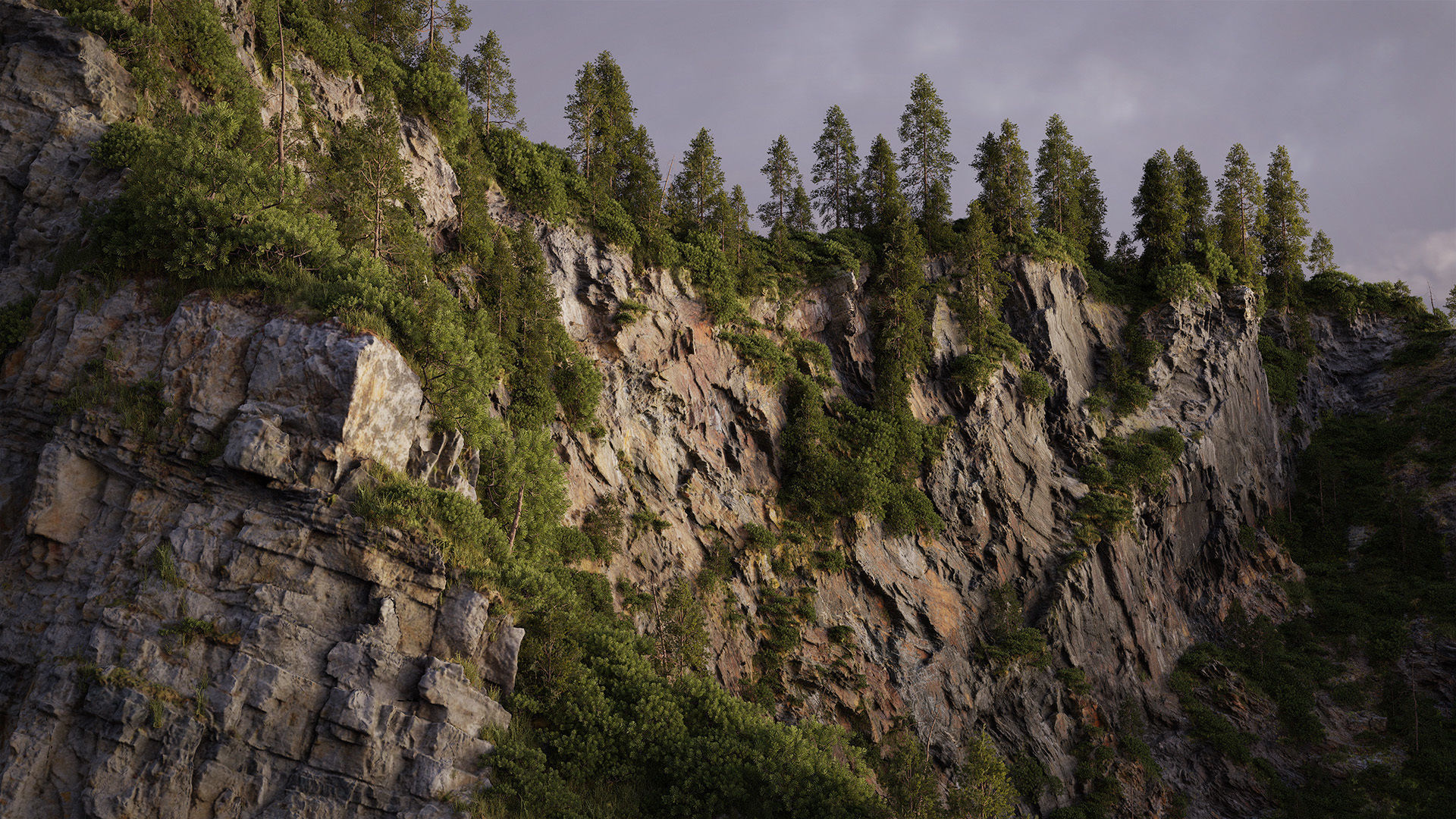 3D model Forest Biome for Scatter 5 Blender VR / AR / low-poly | CGTrader