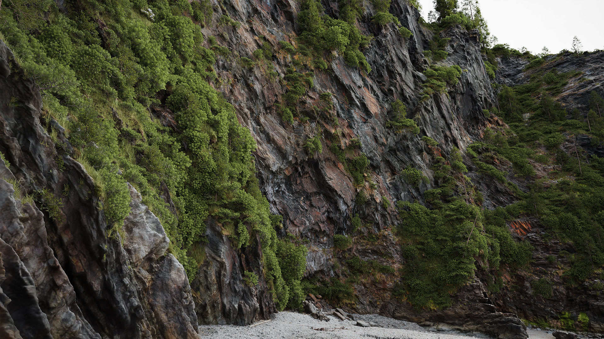 3D model Forest Biome for Scatter 5 Blender VR / AR / low-poly | CGTrader