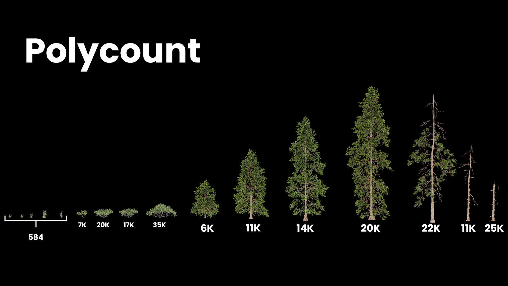 3D model Forest Biome for Scatter 5 Blender VR / AR / low-poly | CGTrader
