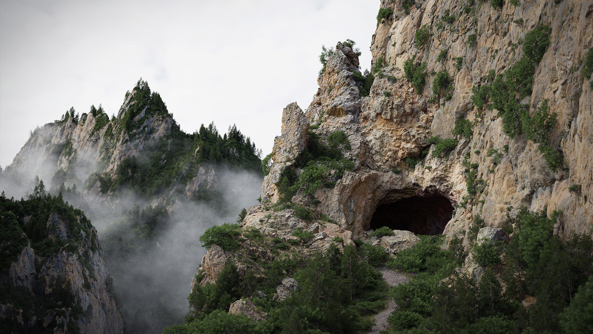 3D model Forest Biome for Scatter 5 Blender VR / AR / low-poly | CGTrader