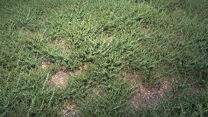 3D model Ground Grass VR / AR / low-poly | CGTrader