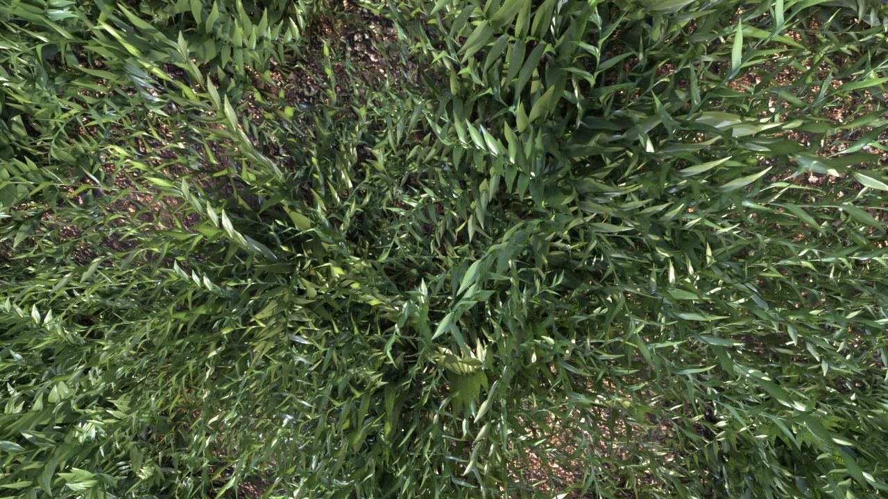 3D model Ground Grass VR / AR / low-poly | CGTrader