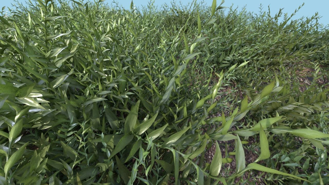 3D model Ground Grass VR / AR / low-poly | CGTrader