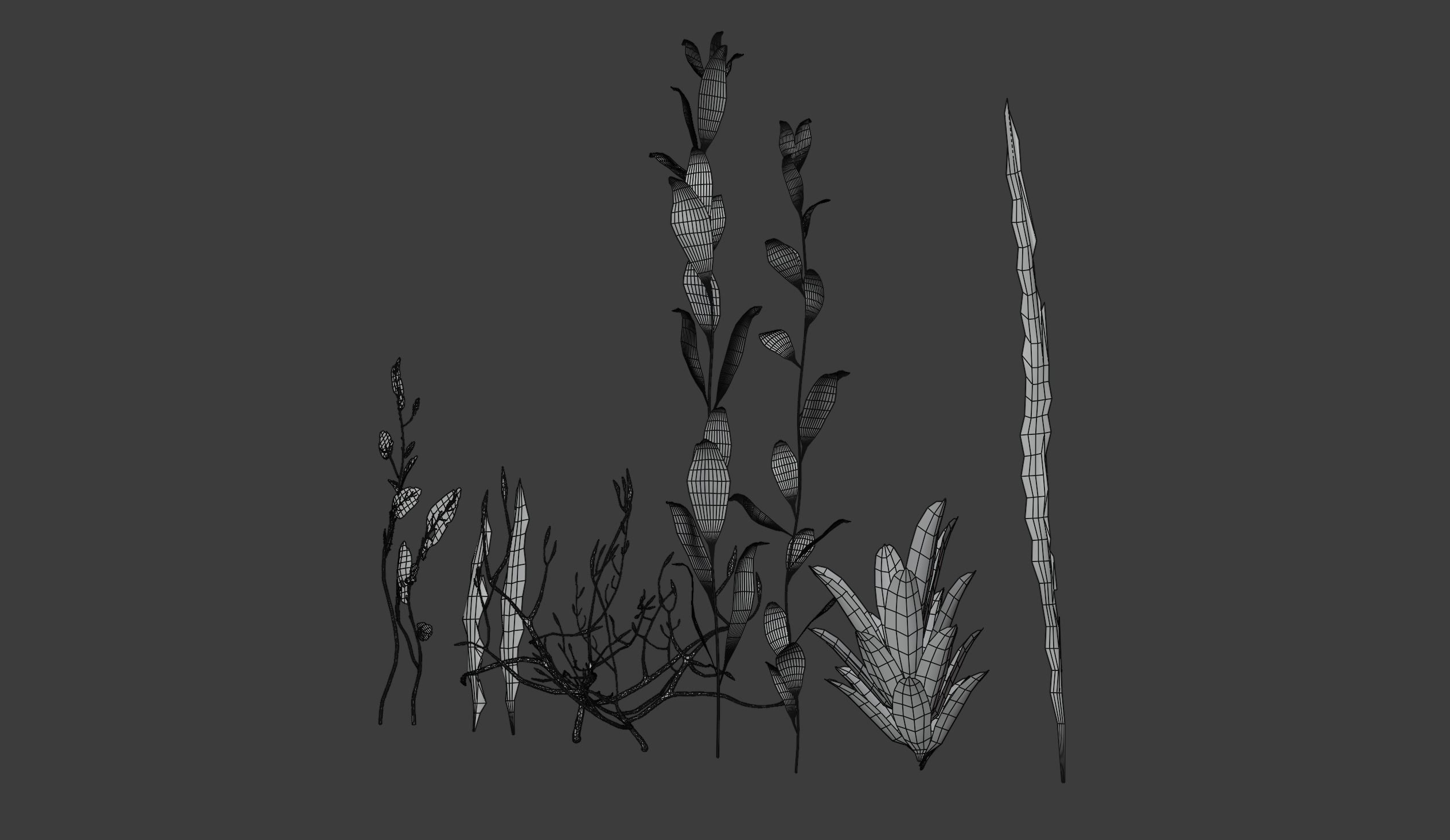 3D model Seaweed collection plants in water VR / AR / low-poly | CGTrader