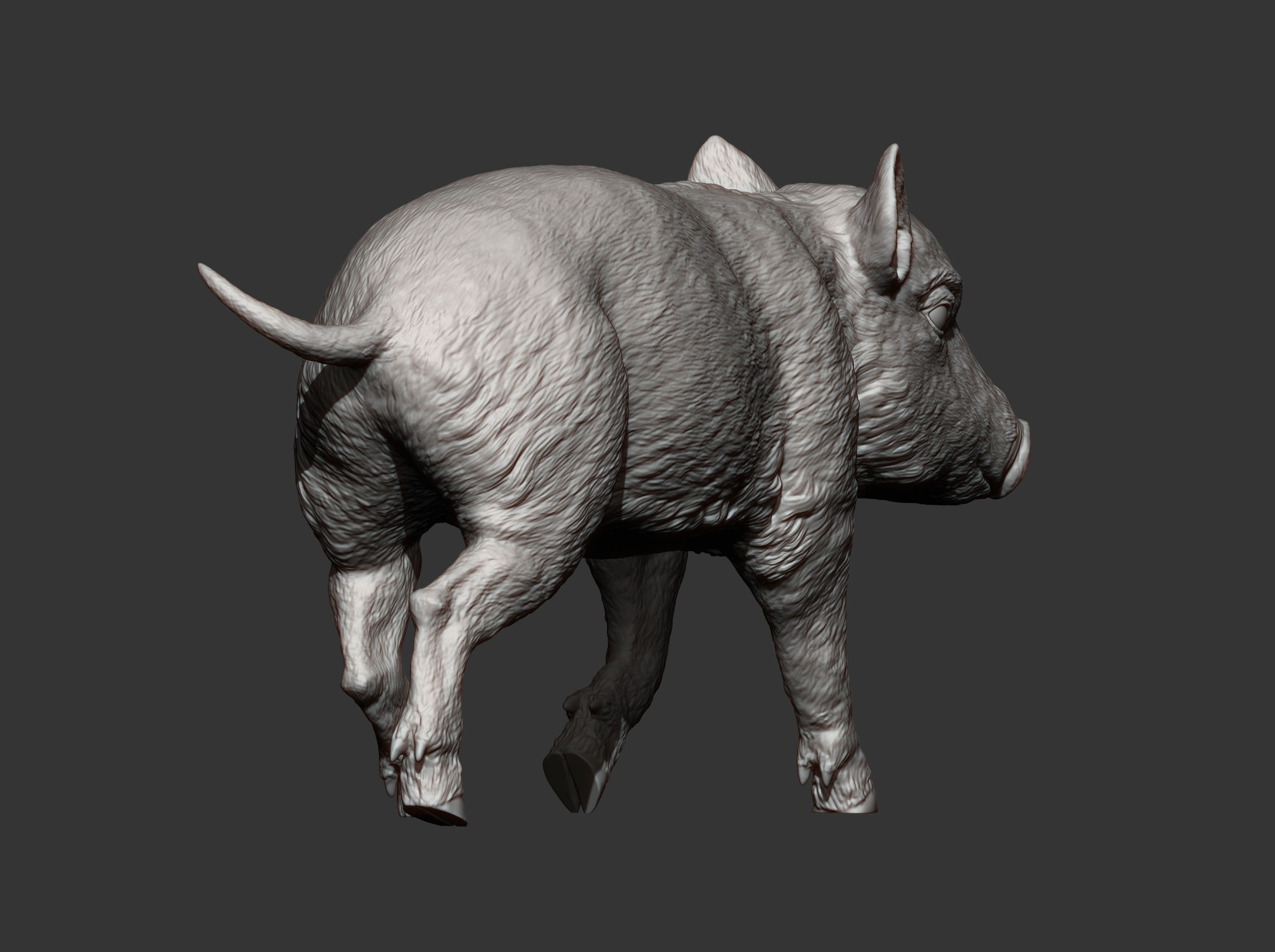 Small wild boar 3D model 3D printable | CGTrader