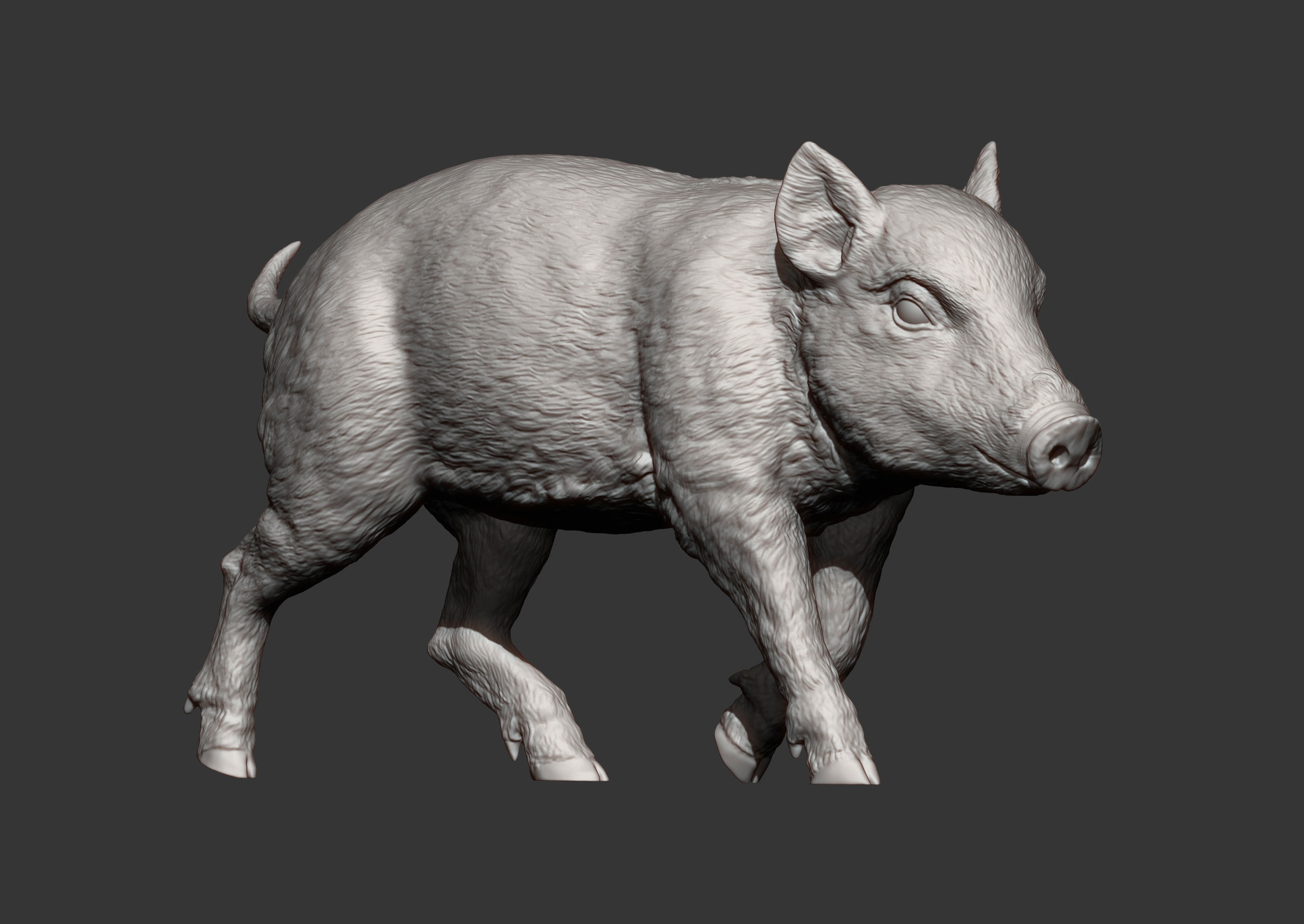 Small wild boar 3D model 3D printable | CGTrader