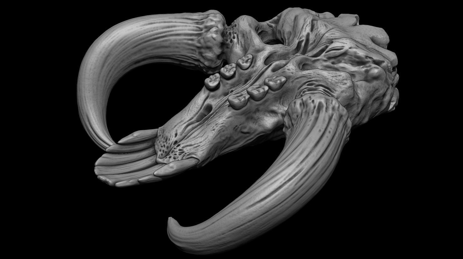 3D PRINTABLE MYTHOSAUR SKULL AND SORGAN FROG THE MANDALORIAN 3D model ...