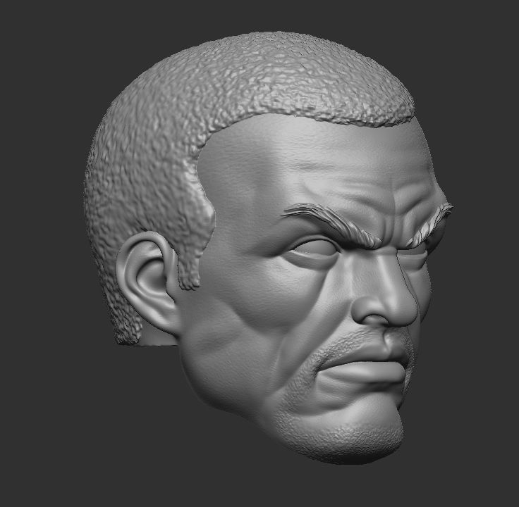 Calvin Ellis - Headsculpt for Action Figures 3D print model 3D model 3D ...