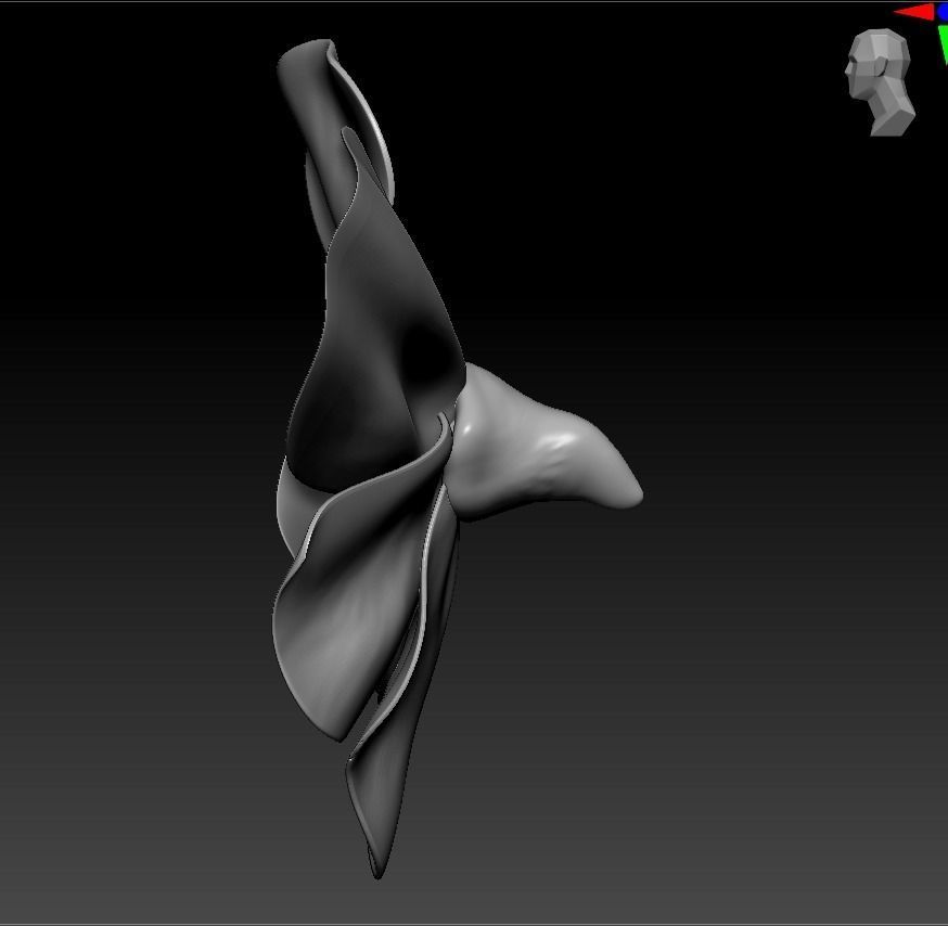 Magnolia Flower 3D model | CGTrader