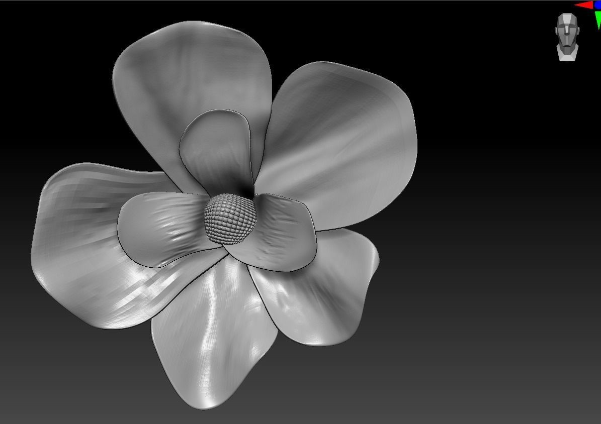 Magnolia Flower 3D model | CGTrader