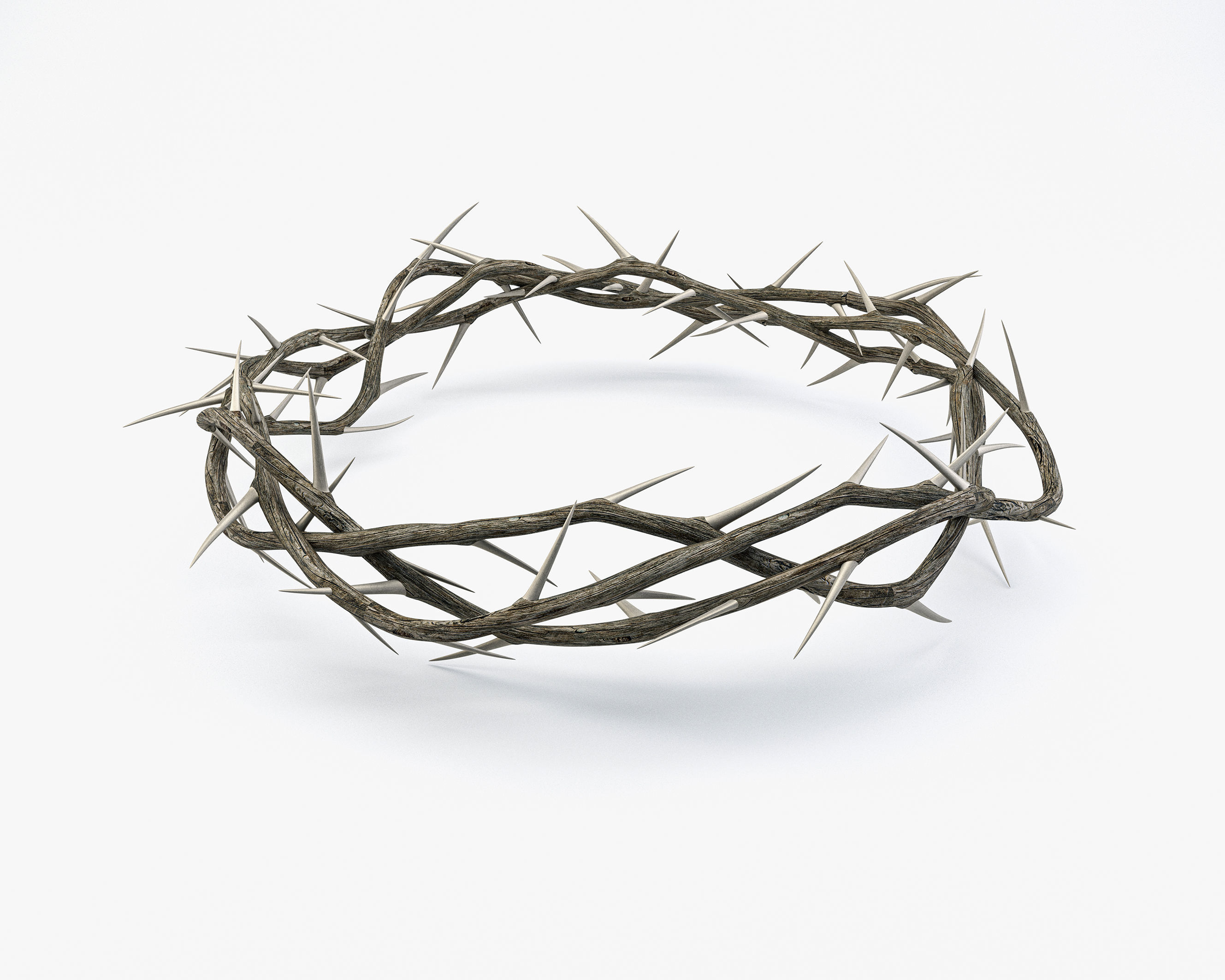 Crown Of Thorns 3D model | CGTrader