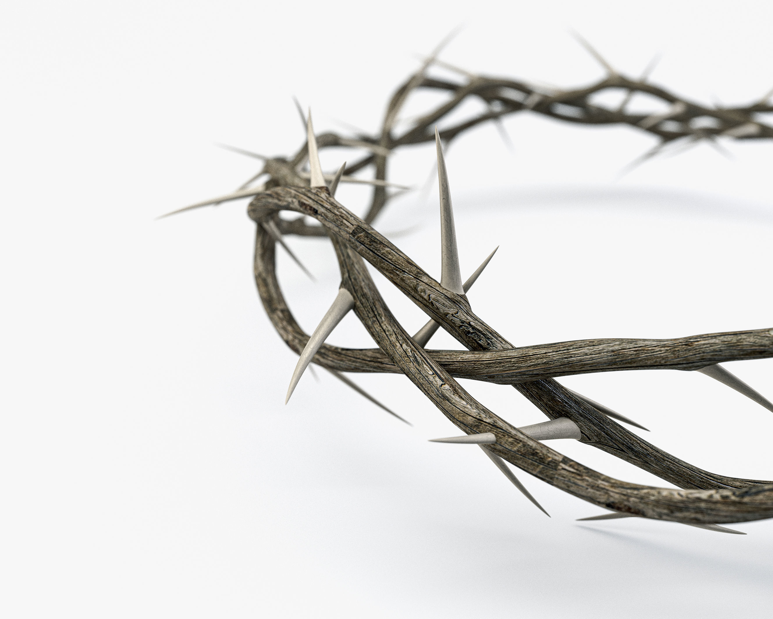 Crown Of Thorns 3D model | CGTrader