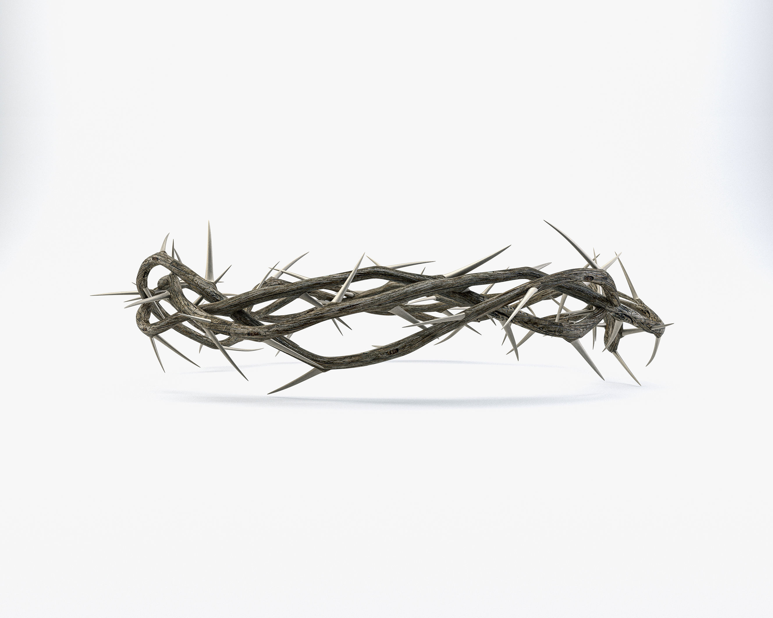 Crown Of Thorns 3D model | CGTrader