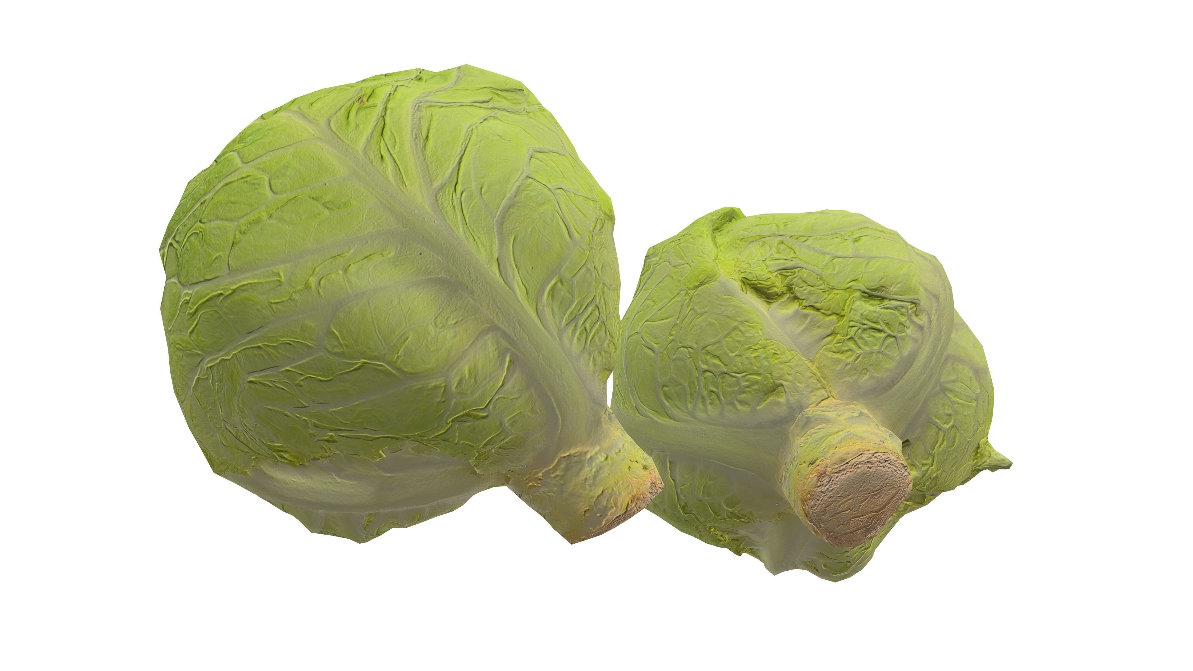 3D model Cabbage Vegetable 3D Model AR VR PBR VR / AR / low-poly | CGTrader