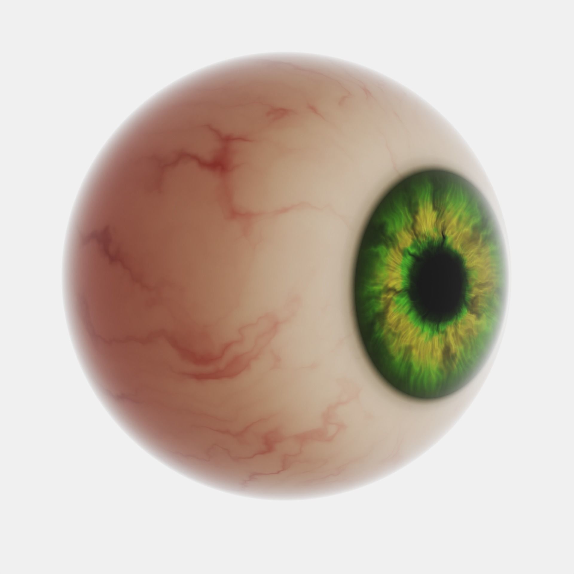 Green Eyeball free 3D model | CGTrader