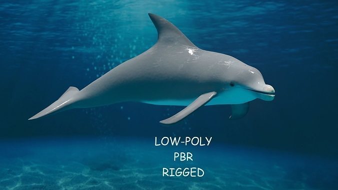 3D model DOLPHIN LOW-POLY 3D MODEL whale tail VR / AR / low-poly | CGTrader