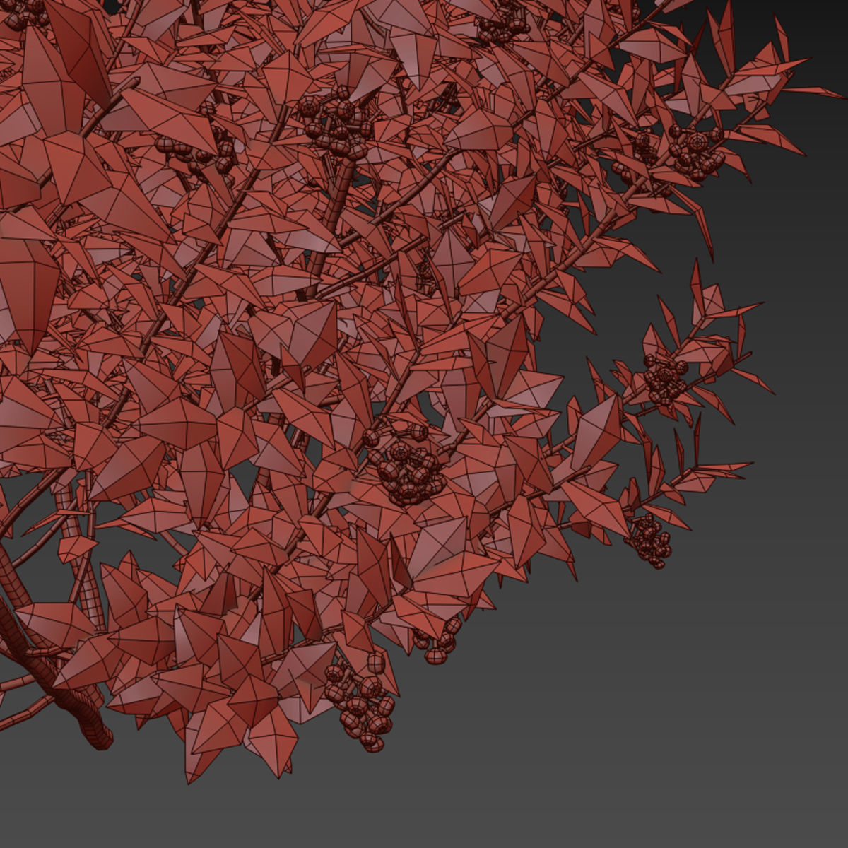 Blueberry bush berry 3D model | CGTrader