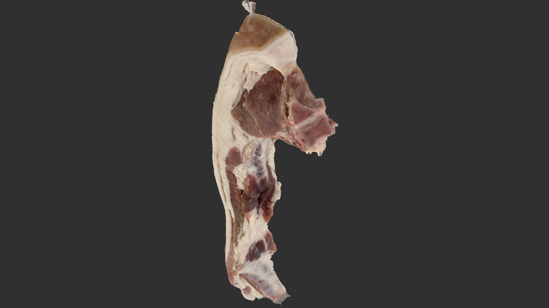 Hanging pork 3d Scan 3D model | CGTrader