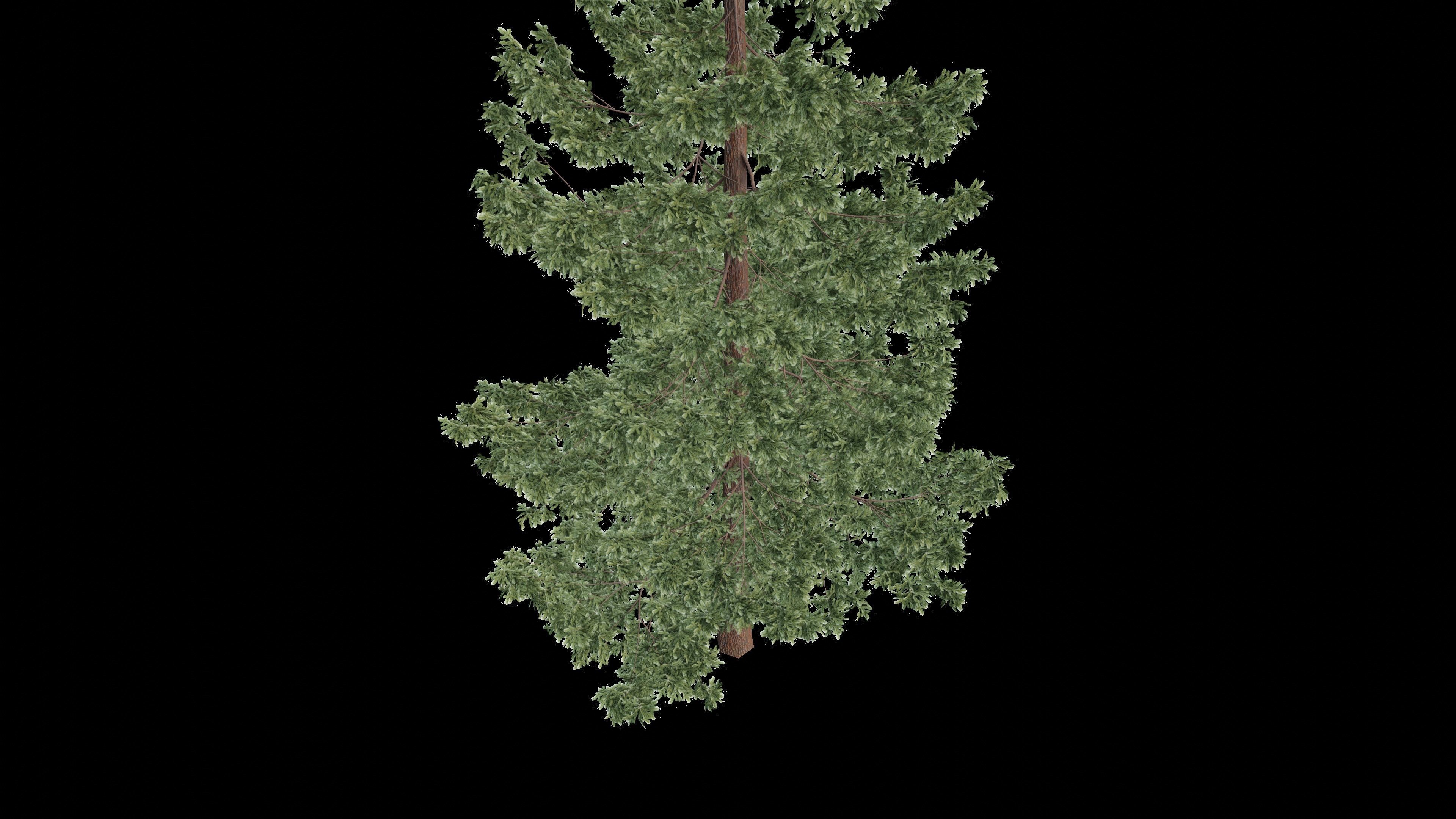 Spruce tree for the Games 3D model | CGTrader