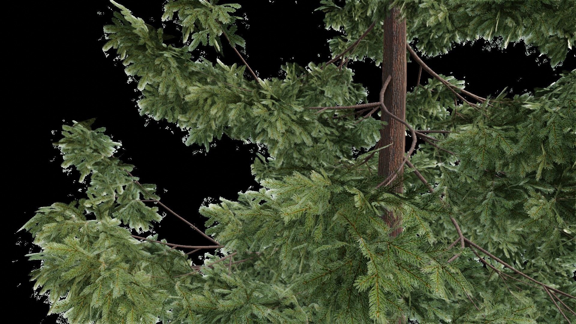 Spruce tree for the Games 3D model | CGTrader
