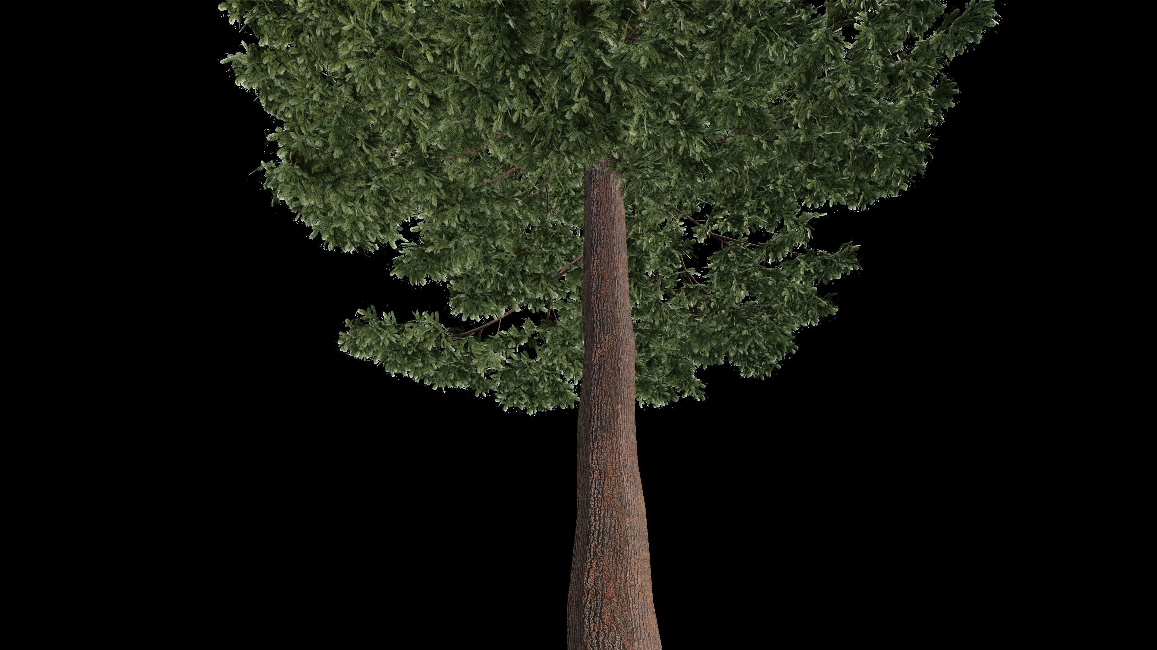 Spruce tree for the Games 3D model | CGTrader