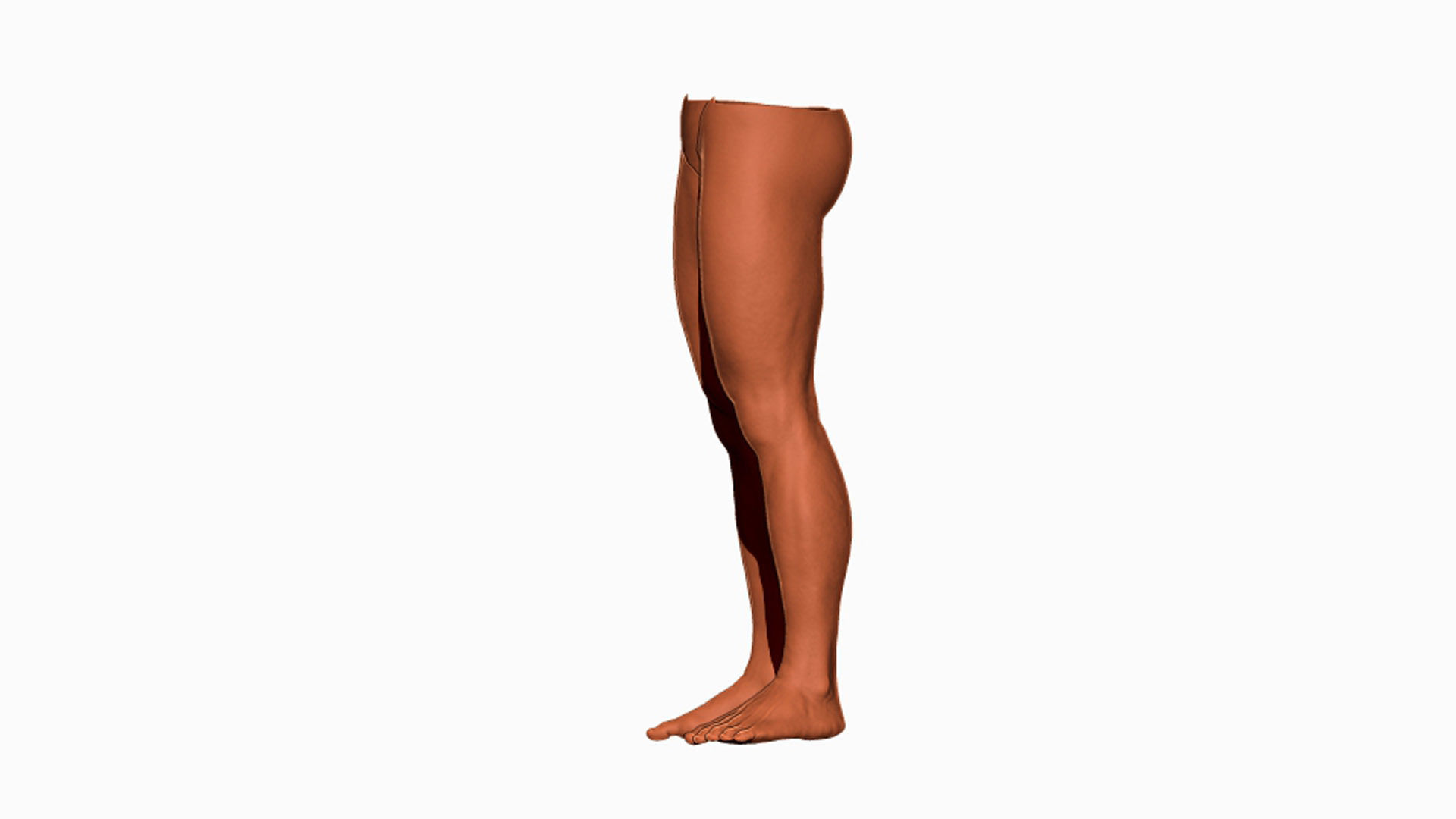 3d Beauty Foot Model 3d Model 3d Model 3d Printable Cgtrader