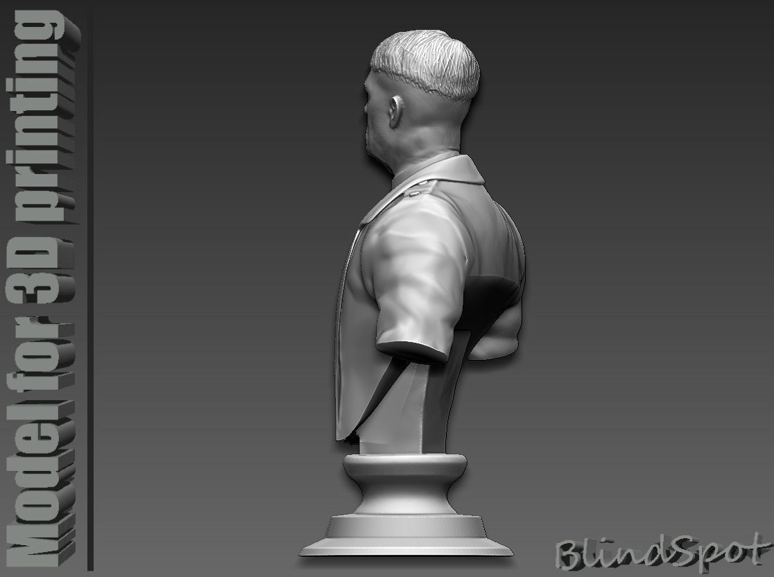 Adolf Hitler bust 3D model 3D printable | CGTrader