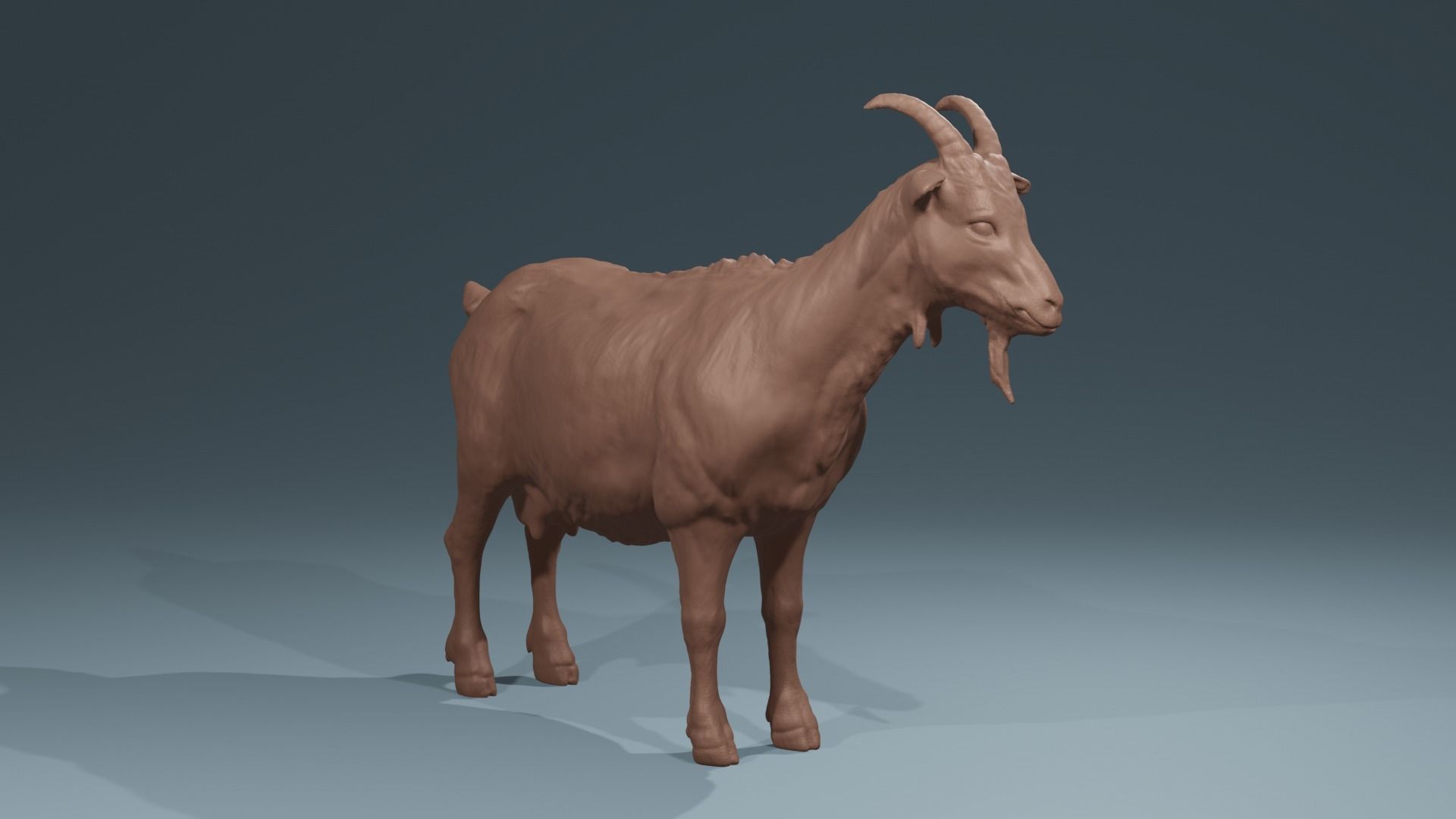 Standing Goat realistic farmanimal for printing Diorama 3D model 3D ...