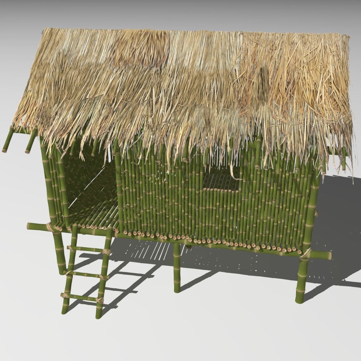 Jungle hut 3D model | CGTrader