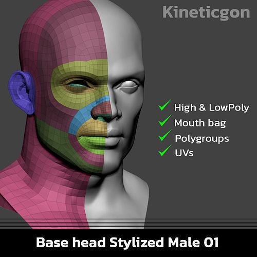 3D model Base Head - Stylized - Male 01 VR / AR / low-poly | CGTrader