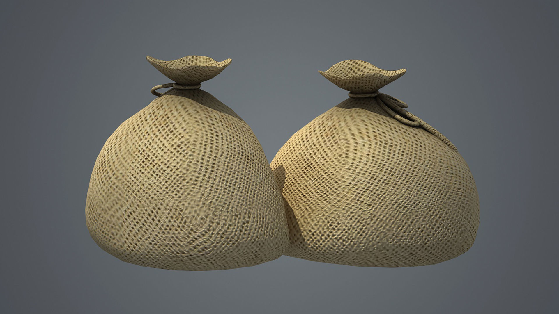 3D Pouch Sack 3D model | CGTrader