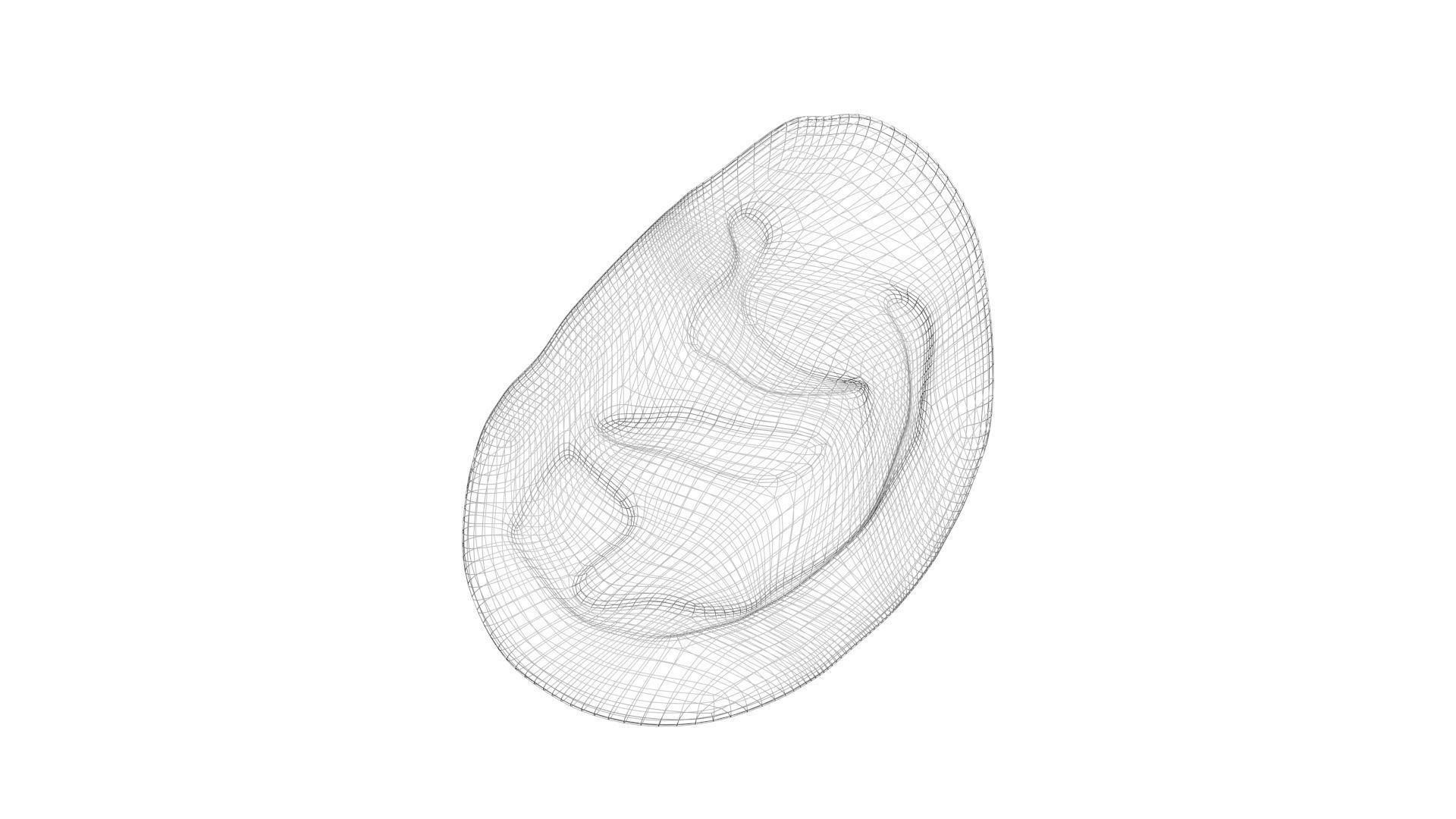 Human Ear 3D model | CGTrader