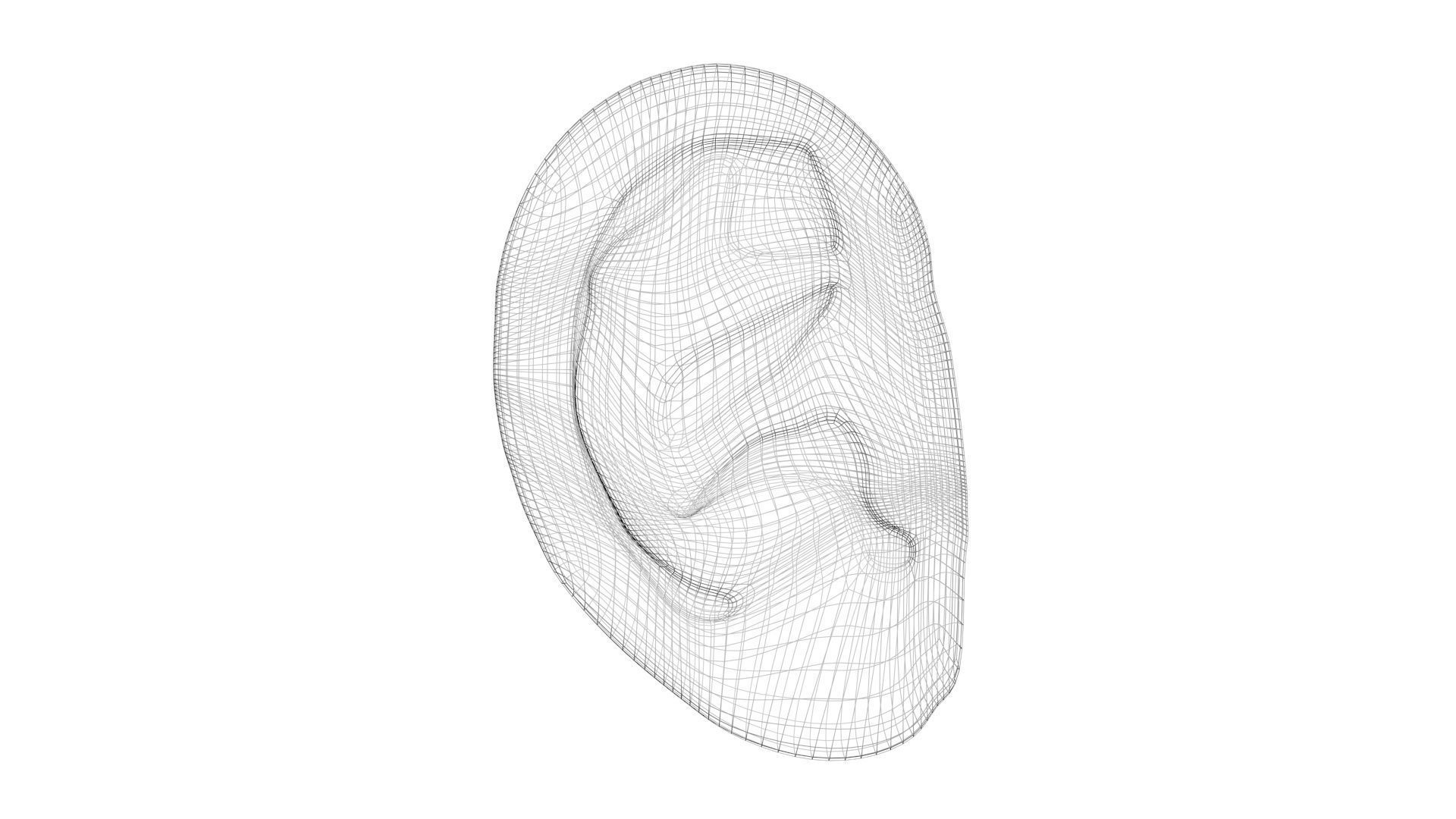Human Ear 3D model | CGTrader