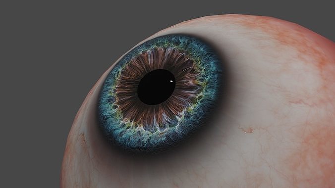 Realistic eyes models pack 3D model | CGTrader