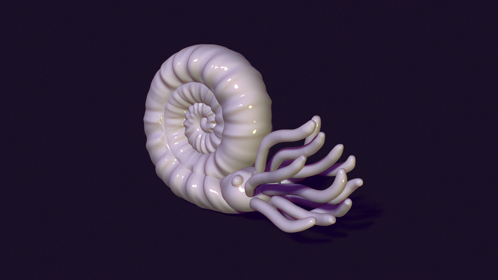 nautilus snail 3D model 3D printable | CGTrader