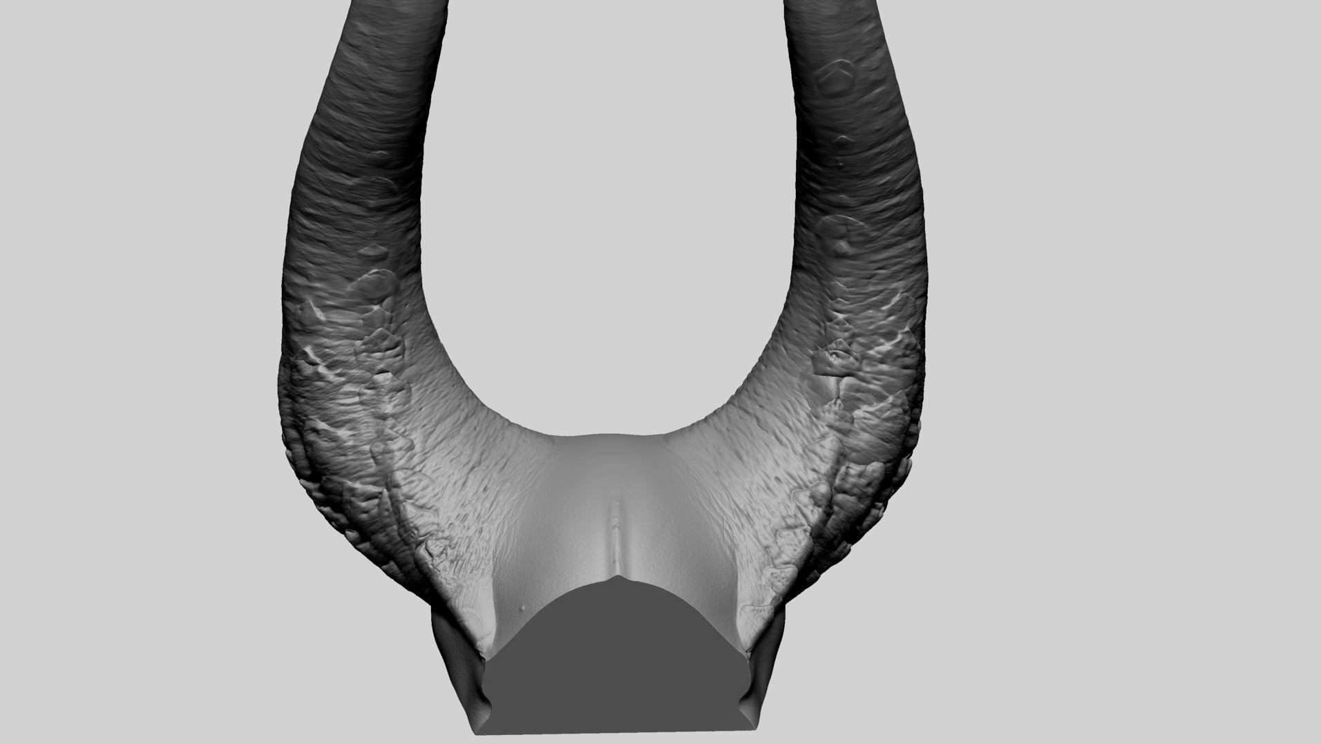 Horn Printable A 3D model 3D printable | CGTrader