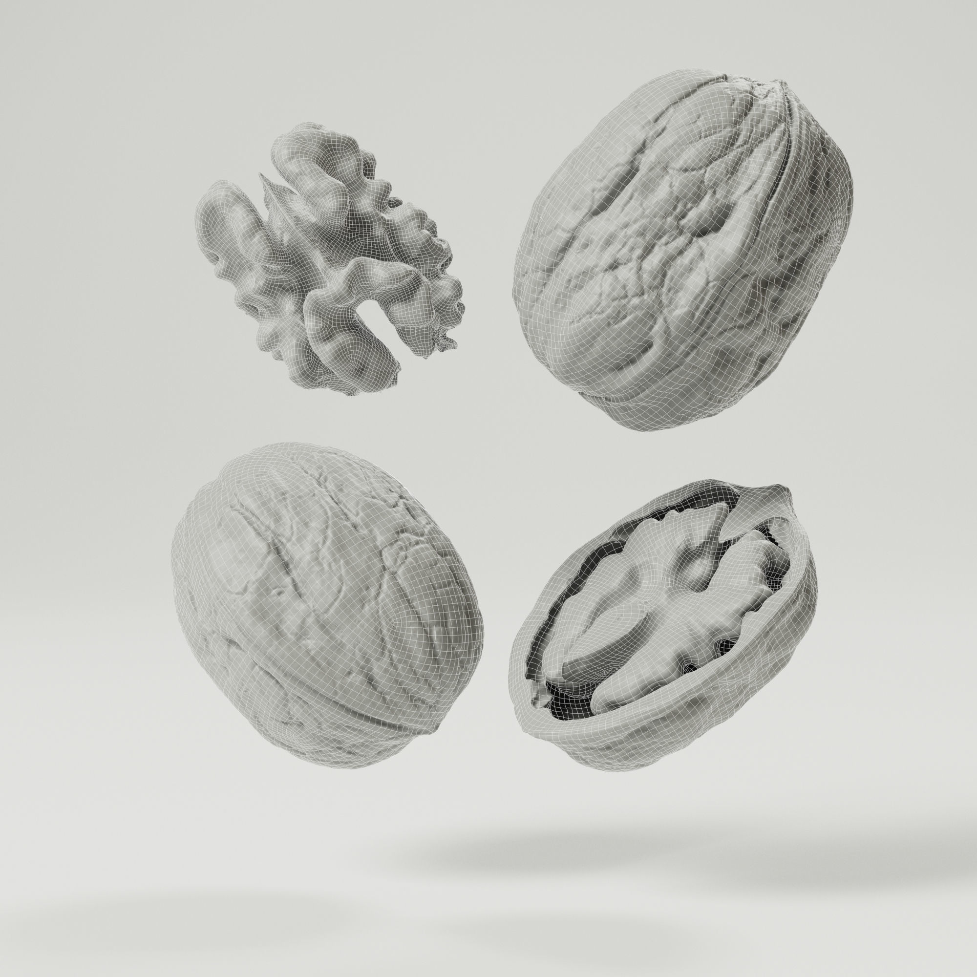 Walnuts 3D model | CGTrader