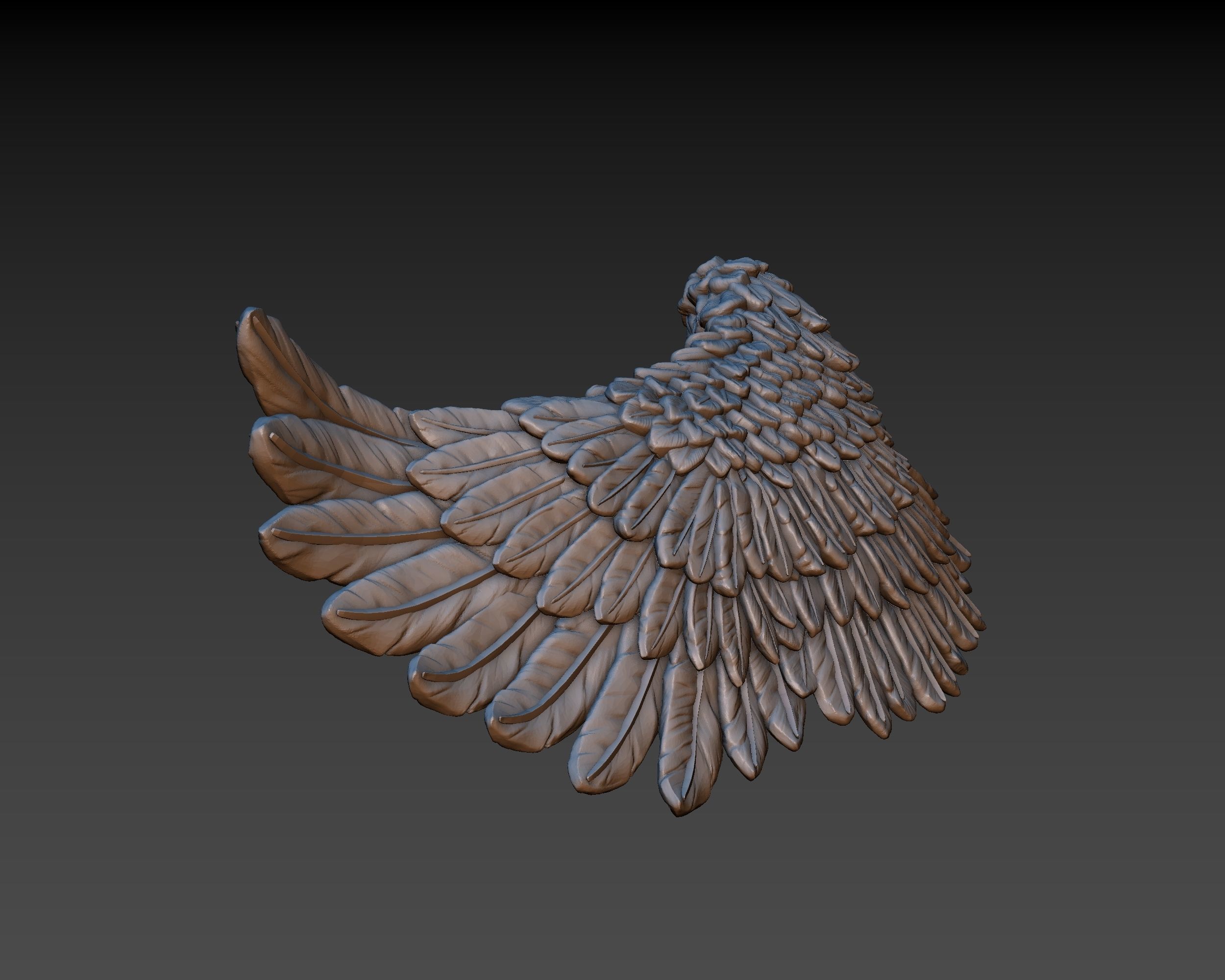 Wings eagle wing 3D model 3D printable | CGTrader