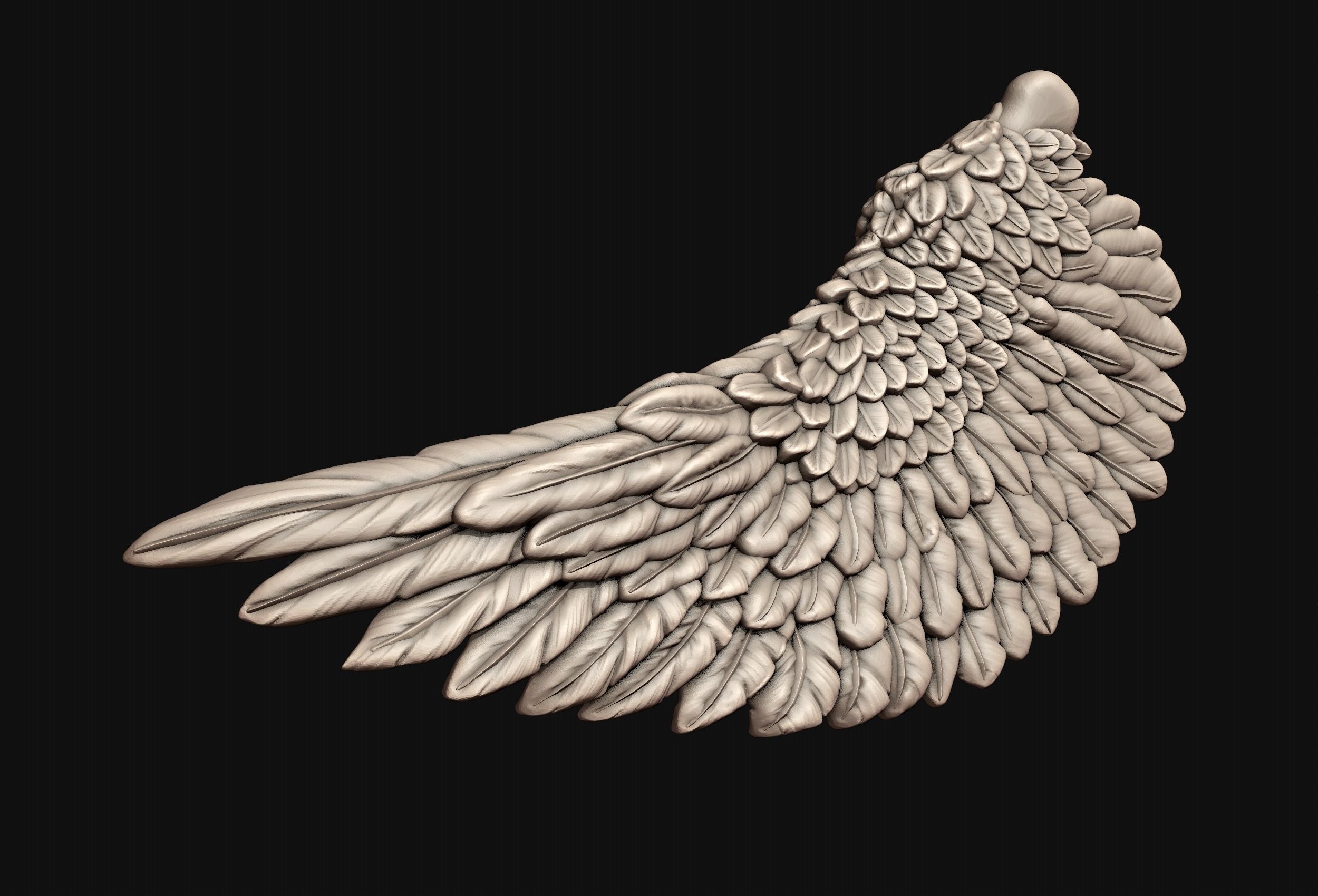 Wings Version 2 3D model 3D printable | CGTrader