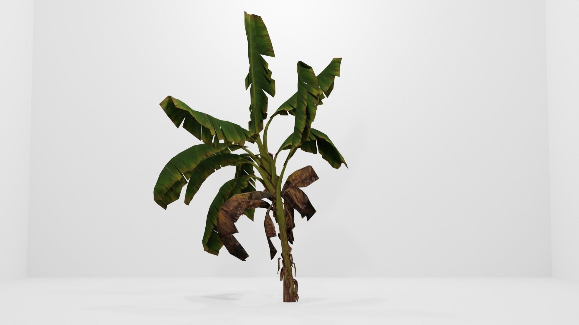 3D model Tree Low-poly 3D model VR / AR / low-poly | CGTrader