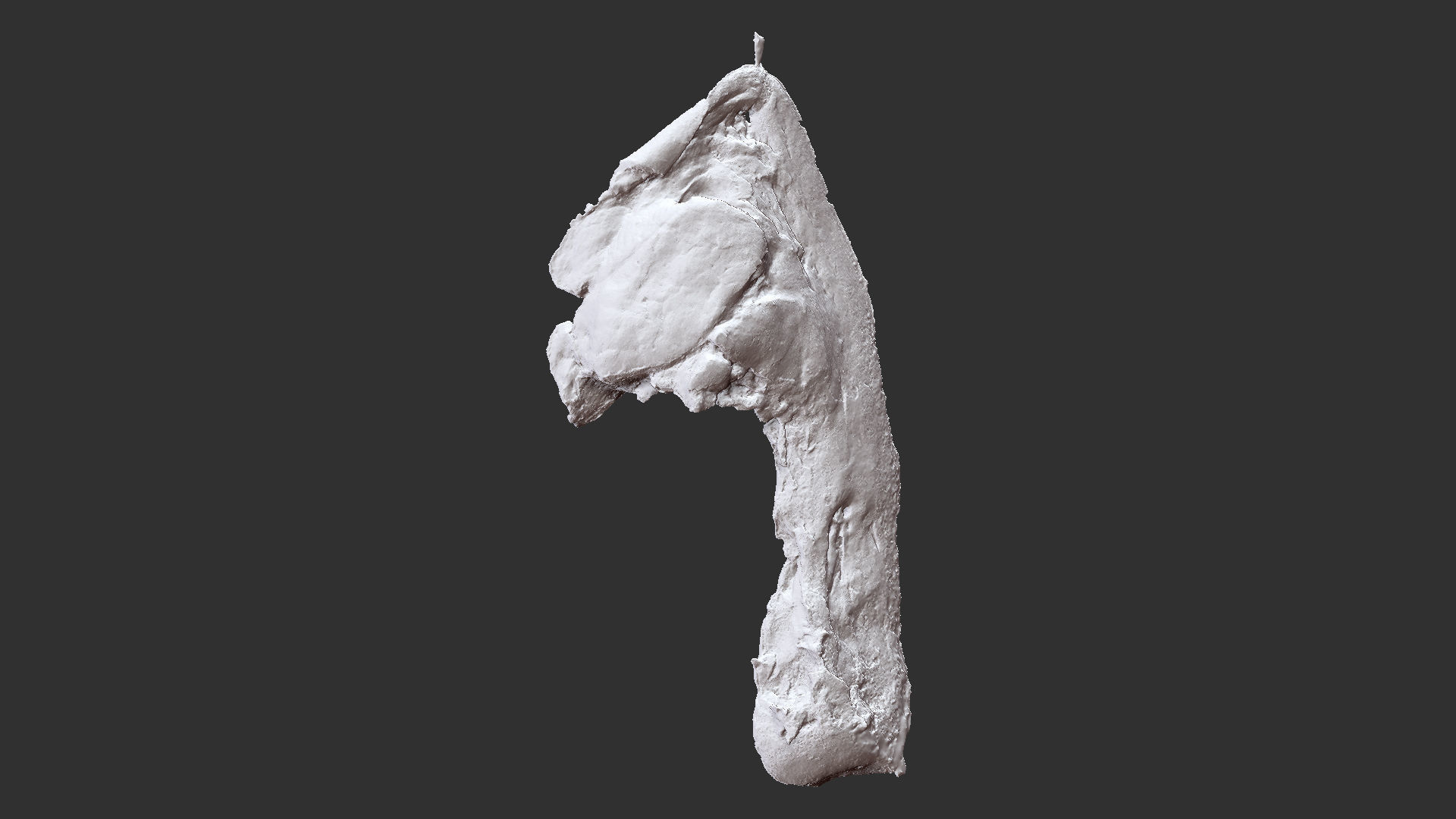 Hanging pork 3d Scan 3D model | CGTrader
