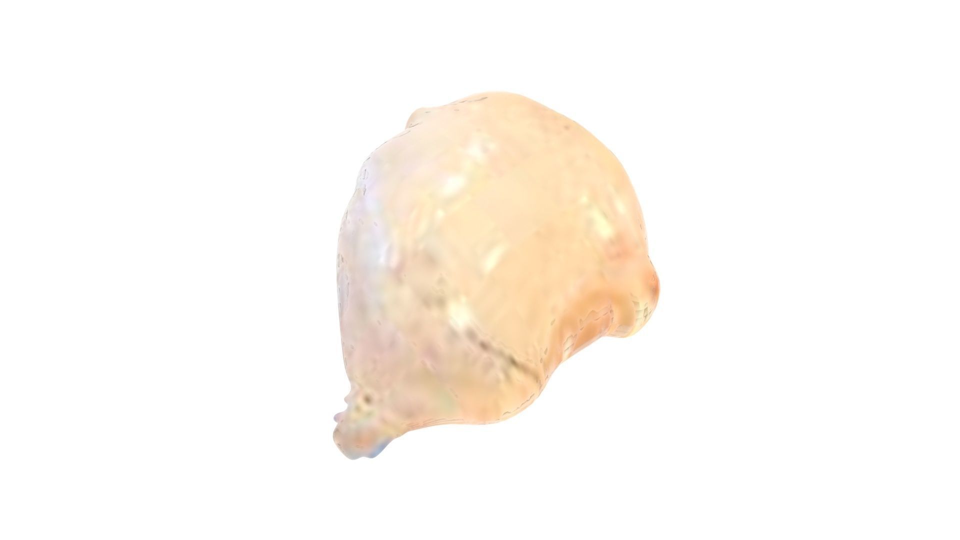 Human Urinary Bladder 3D model | CGTrader